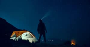 Nocturnal Insights On Wild Bird Watching At Night And Evenings - Not ...