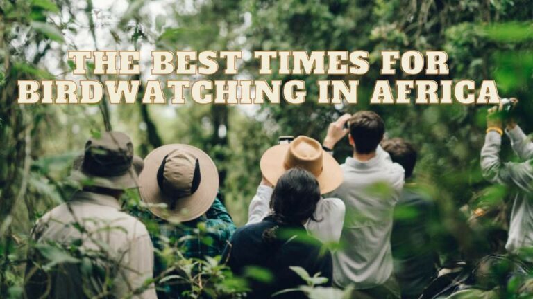 The 10 Most Impressive Birdwatching Places Of Kenya - Sharing My Fever ...