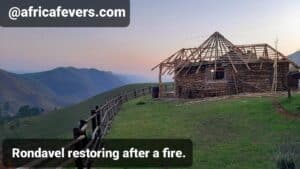 What is a Rondavel - A Complete Guide to Traditional African ...