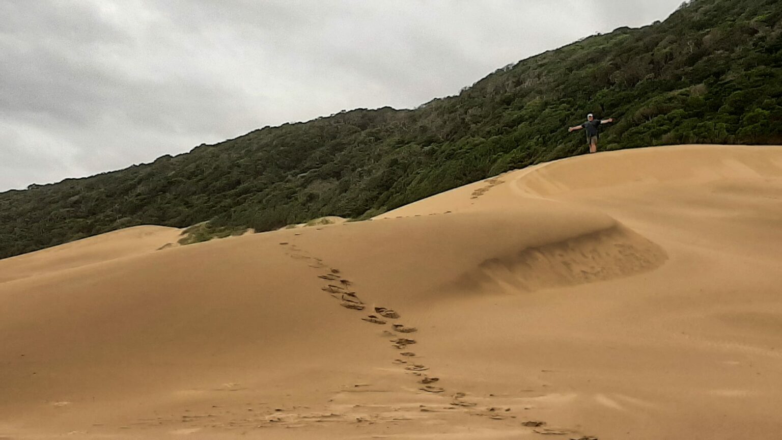 Sunny Sodwana Bay National Park: Sand, Sea, Sharks, Snorkel, And Scuba ...