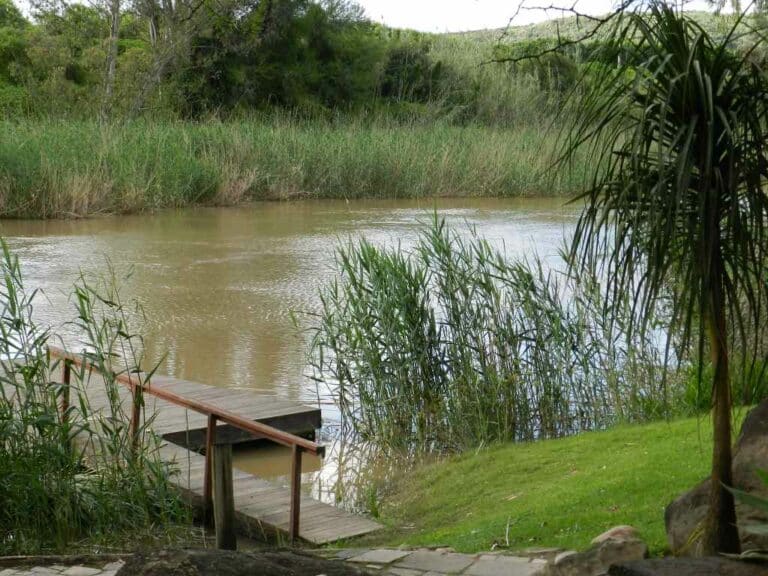 The Charming Avoca River Cabins Near Addo Elephant National Park - A ...
