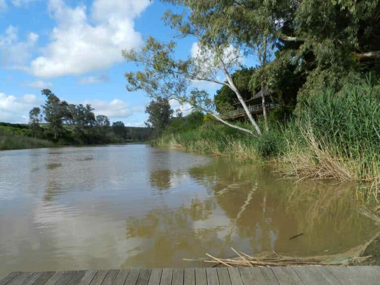 The Charming Avoca River Cabins Near Addo Elephant National Park - A ...