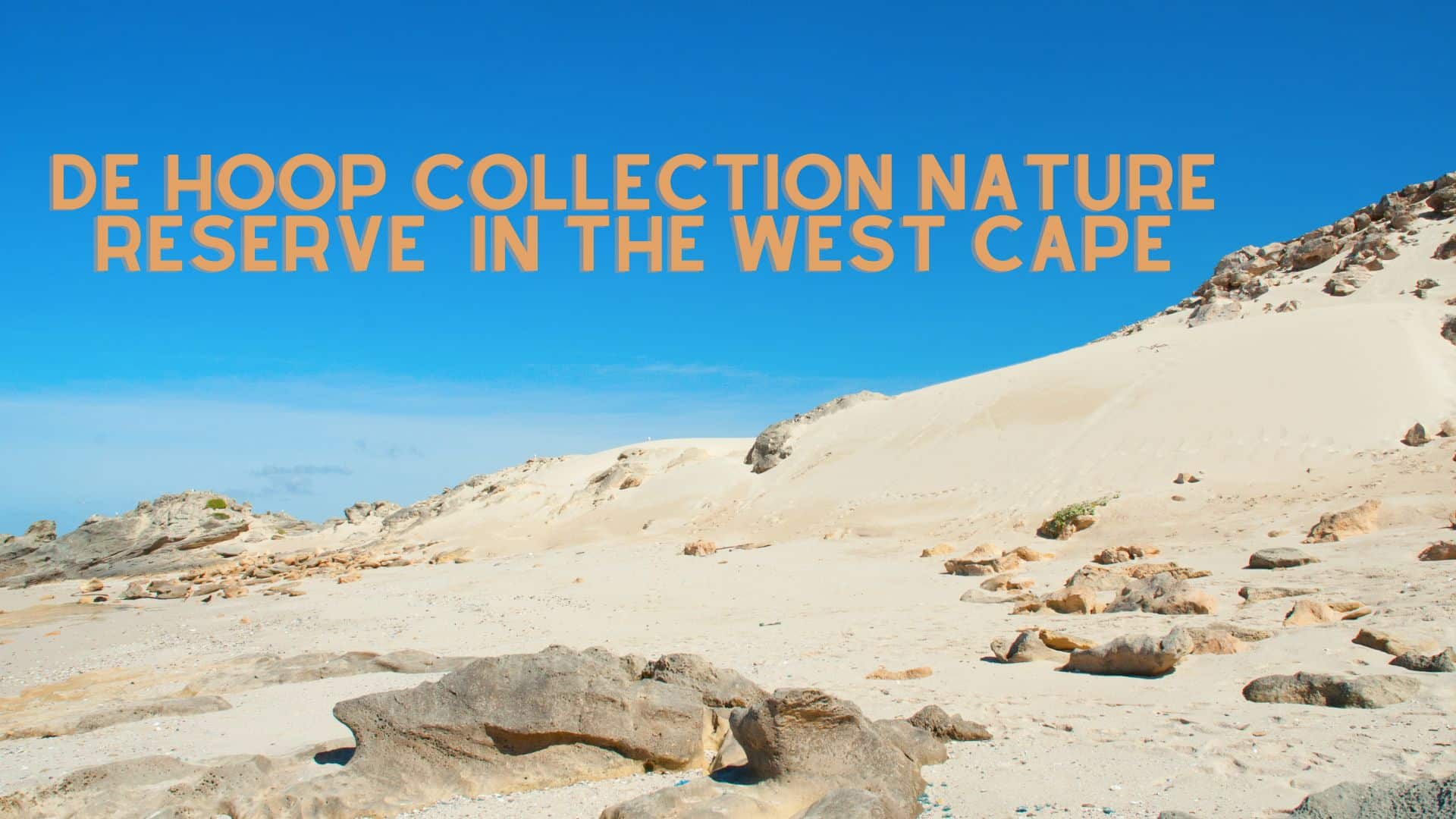 Discover De Hoop Collection Nature Reserve: Where Wildlife Meets Wow ...