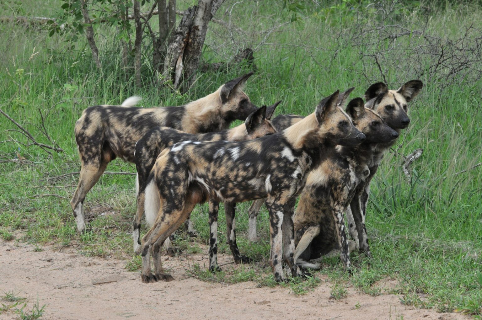 12 Unique African Overlanding Routes That Will Change the Way You See ...