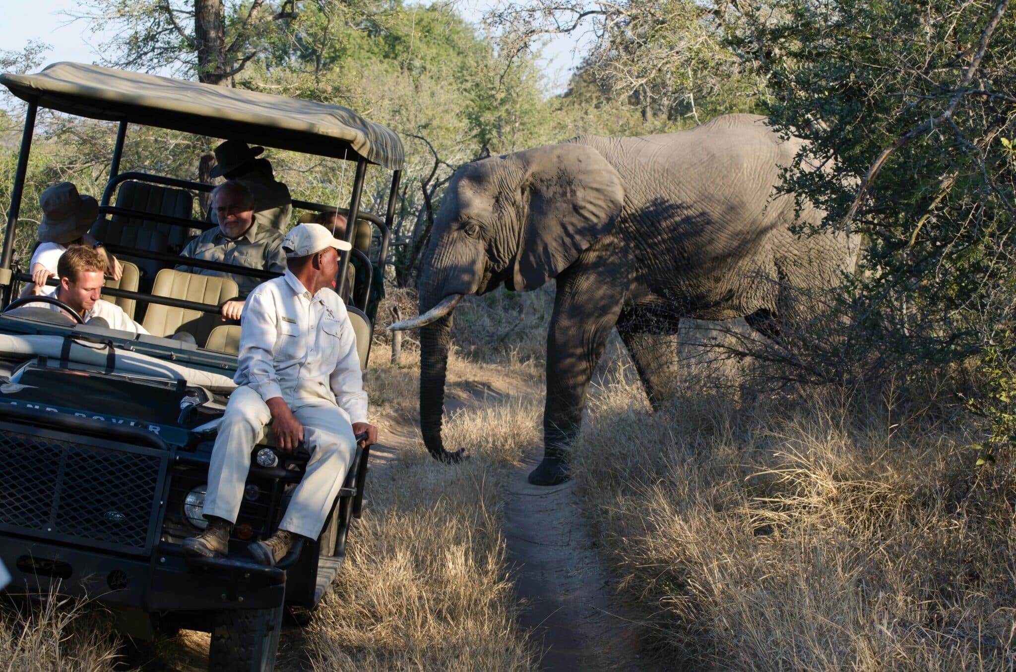10 Secrets Every First-Time Safari Adventurer Should Know - Sharing My ...