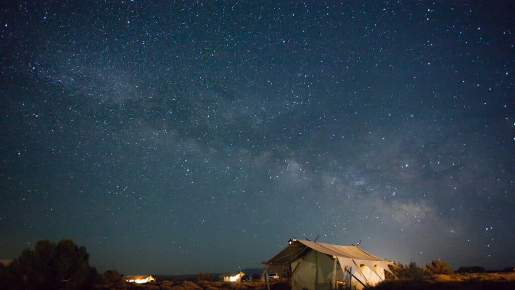 10 Things You Need to Know Before Going on an African Night Safari ...