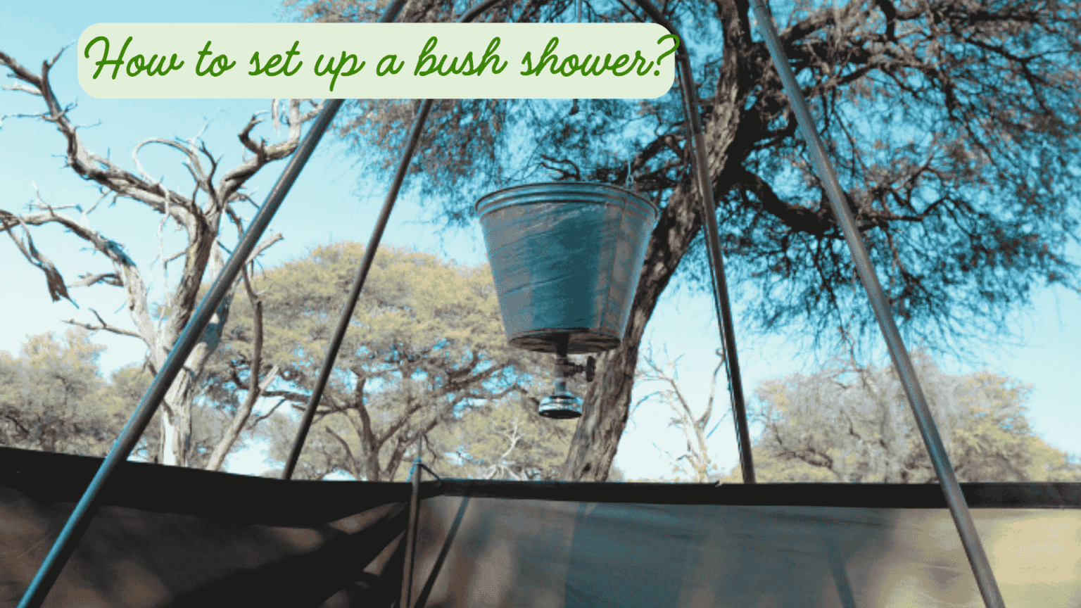 Could You Survive an African Bush Walk? 5 Safety Tips You Need to Know ...