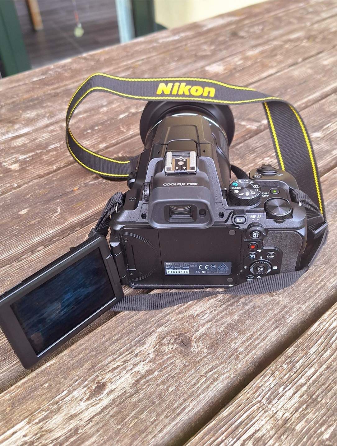 Best Beginner Camera for Wildlife Photography: My Nikon COOLPIX P950 ...