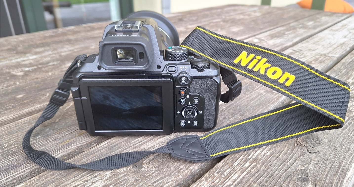 Best Beginner Camera for Wildlife Photography: My Nikon COOLPIX P950 ...